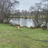 Redesmere and Capesthorne Circular, Cheshire, England - 134 Reviews ...