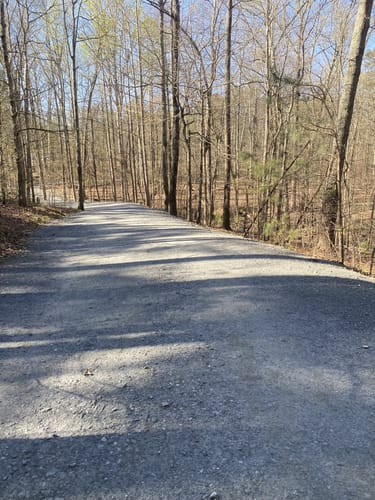 Best Hikes and Trails in Webb Bridge Park | AllTrails