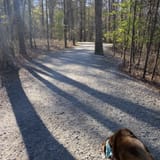 Webb Bridge Park Trail, Georgia - 768 Reviews, Map | AllTrails