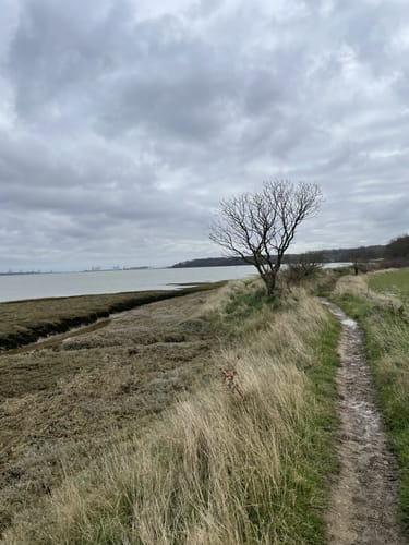 Best Hikes and Trails in Wrabness Nature Reserve | AllTrails