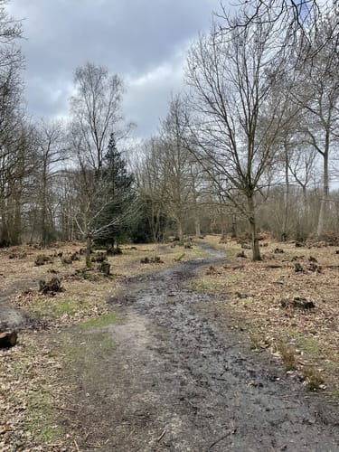 Best Hikes and Trails in Wrabness Nature Reserve | AllTrails