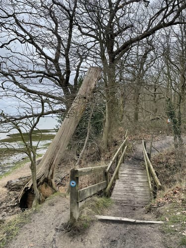 Best Hikes and Trails in Wrabness Nature Reserve | AllTrails