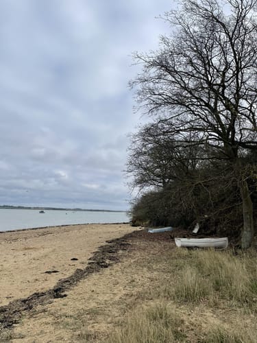 Best Hikes and Trails in Wrabness Nature Reserve | AllTrails