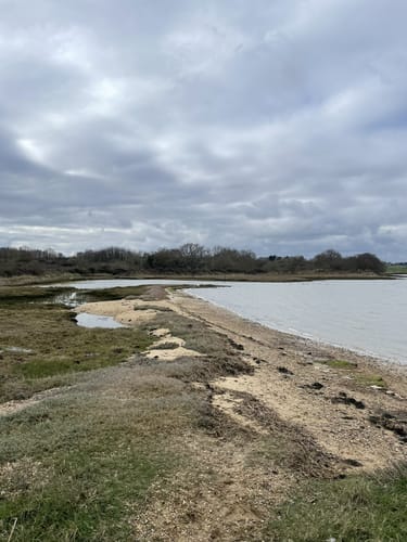 2023 Best Beach Trails in Manningtree | AllTrails
