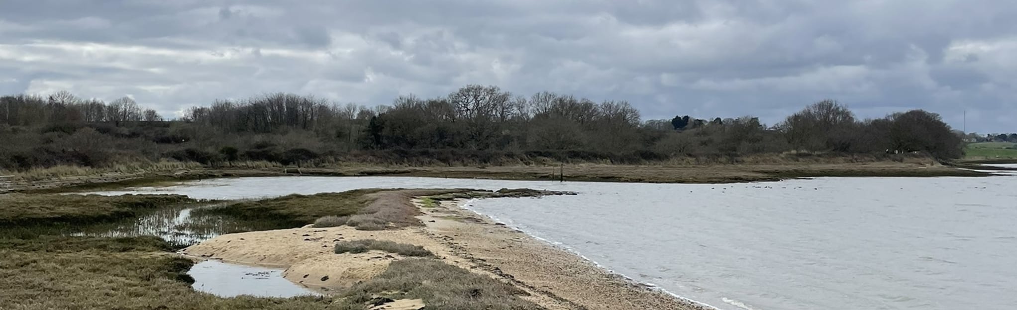Wrabness Nature Reserve and Stour Wood Circular, Essex, England - 13 ...