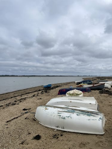 Best Hikes and Trails in Wrabness Nature Reserve | AllTrails