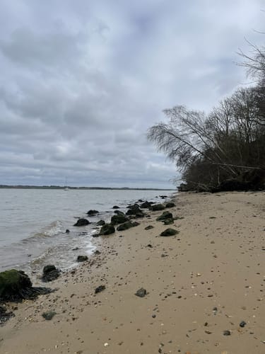 Best Hikes and Trails in Wrabness Nature Reserve | AllTrails