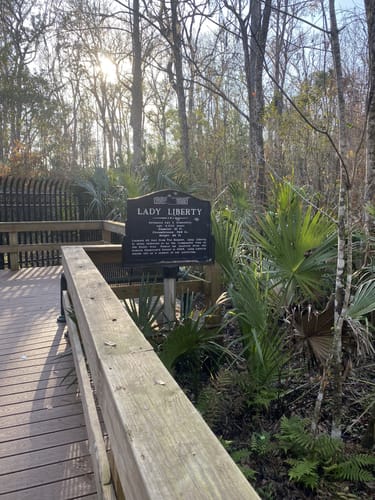 Best Hikes and Trails in Big Tree Park | AllTrails