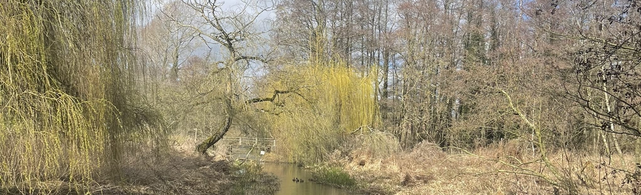 West Acre Common, South Acre and Castle Acre Circular, Norfolk, England ...
