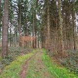 Daffodil Way: Dymock and Kempley Circular, Gloucestershire, England ...