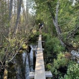 Minong Ridge Trail, Michigan - 25 Reviews, Map | AllTrails