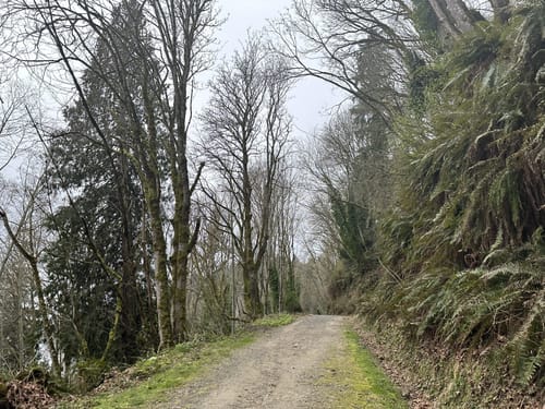 Best Hikes and Trails in Olalla | AllTrails