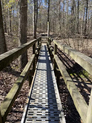 Best Hikes and Trails in Crowley's Ridge State Park | AllTrails