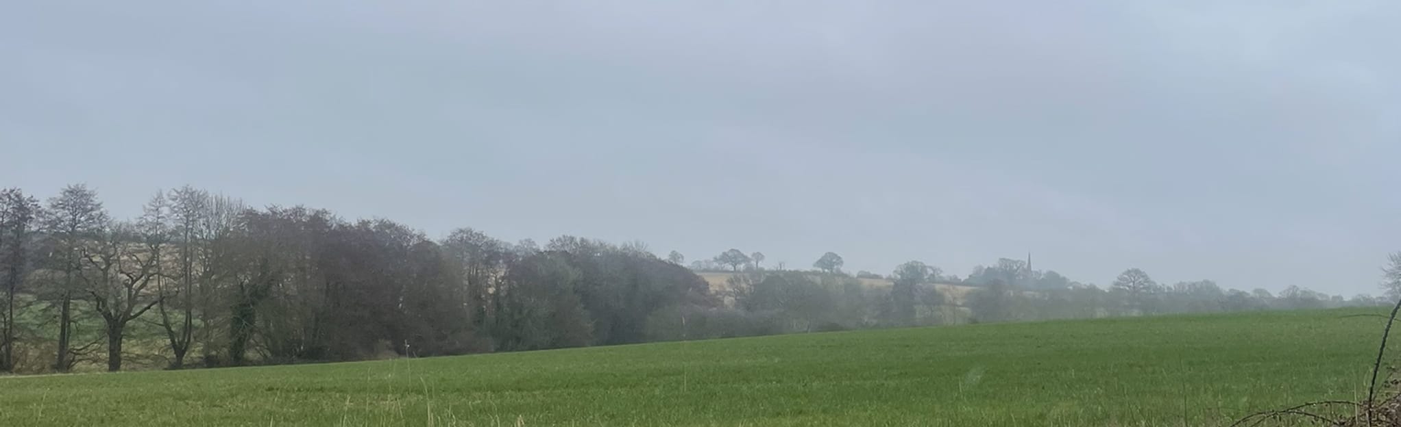 Greenstead Green | Map, Guide - Essex, England | AllTrails