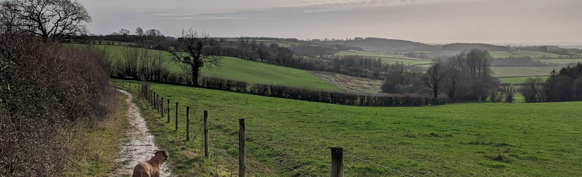 Tuckers Grave Inn - Faulkland Circular, Somerset, England - 10 Reviews ...