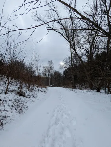 Best Hikes and Trails in Thomson Memorial Park | AllTrails