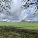 Peover Eye Circular, Cheshire, England - 91 Reviews, Map | AllTrails