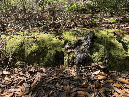 Best Hikes and Trails in Escribano Point Wildlife Management Area ...