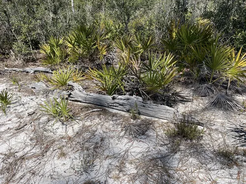 Best Hikes and Trails in Escribano Point Wildlife Management Area ...