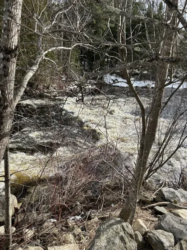 Best Hikes and Trails in Appleton Preserve | AllTrails