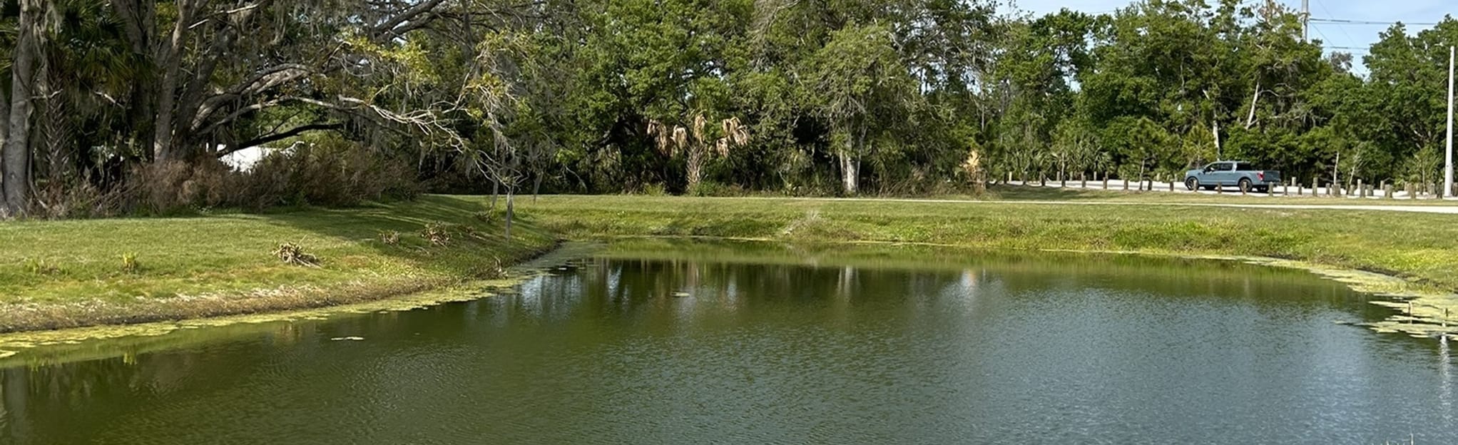 Pebble Park Walking Paths: 11 Reviews, Map - Florida | AllTrails