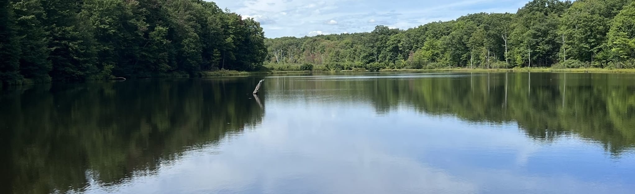 Laurel Highlands Hiking Trail: Ohiopyle to Myersbrook, Pennsylvania ...