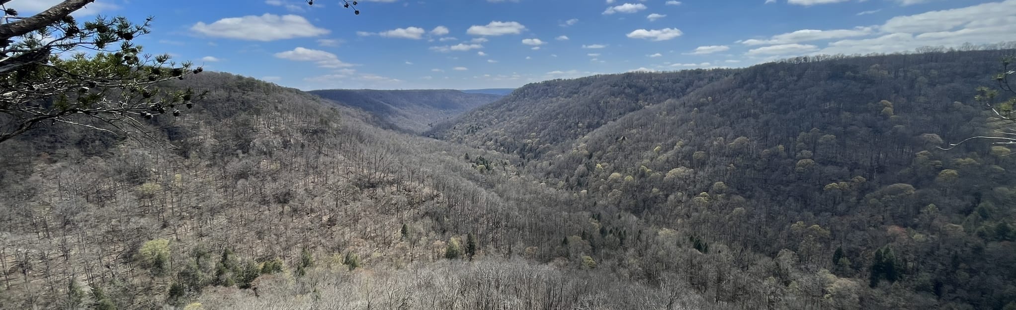 Fiery Gizzard, Dog Hole and Ravens Point | Map, Guide - Tennessee ...