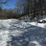 Point Douglas Trail, Minnesota - 257 Reviews, Map | AllTrails