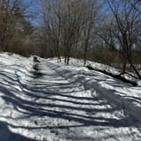 Point Douglas Trail, Minnesota - 257 Reviews, Map | AllTrails