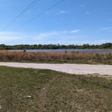Coastal Anclote Trail, Florida - 192 Reviews, Map | AllTrails