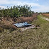 Coastal Anclote Trail, Florida - 192 Reviews, Map | AllTrails