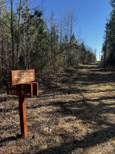 Best Camping Trails in Cumberland State Forest | AllTrails