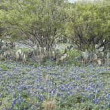 Texas Hill Country Overland Route, Texas - 505 Reviews, Map | AllTrails