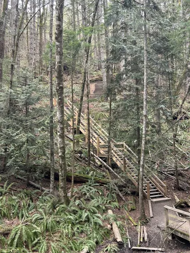 Best Hikes and Trails in Latoria Creek Park | AllTrails