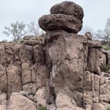 White Cliffs Wagon Trail, Arizona - 280 Reviews, Map | AllTrails