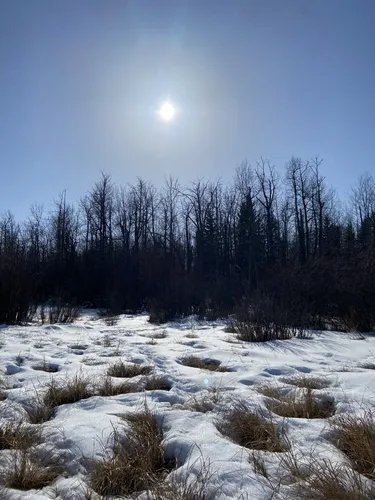 Best Hikes and Trails in North Cooking Lake Natural Area | AllTrails