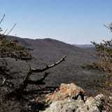 Pinhoti Trail: Adam's Gap to Cheaha State Park, Alabama - 133 Reviews ...
