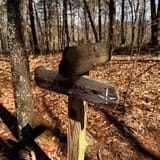 Pinhoti Trail: Adam's Gap to Cheaha State Park, Alabama - 128 Reviews ...