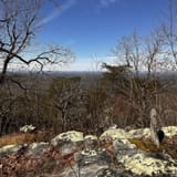 Pinhoti Trail: Adam's Gap to Cheaha State Park, Alabama - 128 Reviews ...