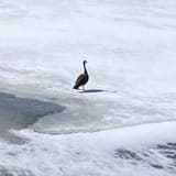 Point Douglas Trail, Minnesota - 257 Reviews, Map | AllTrails