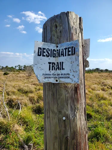 Best Hikes and Trails in Allapattah Flats | AllTrails