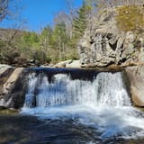 Lost Cove Loop Trail (262), North Carolina - 145 Reviews, Map | AllTrails
