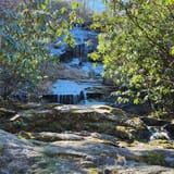 Lost Cove Loop Trail (262), North Carolina - 145 Reviews, Map | AllTrails