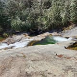Lost Cove Loop Trail (262), North Carolina - 145 Reviews, Map | AllTrails