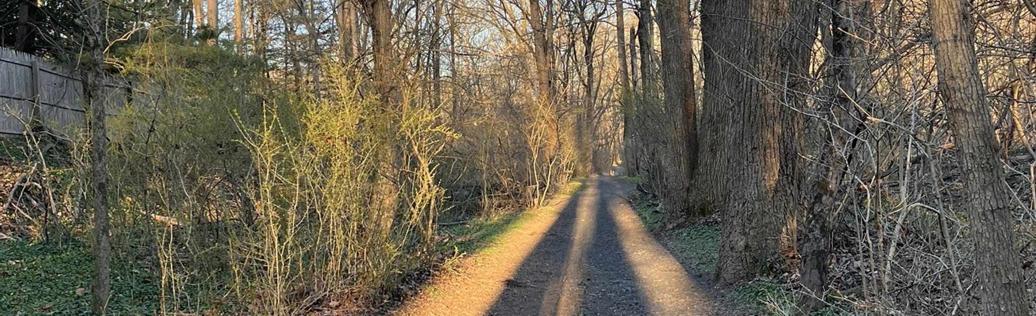 Lake Roland Red and Blue Trail, 284 Photos - Maryland | AllTrails