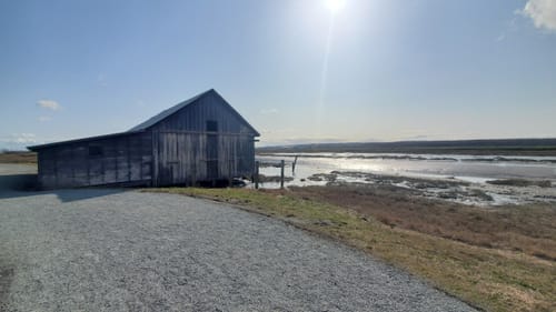 Best Hikes and Trails in Padilla Bay National Estuarine Research ...