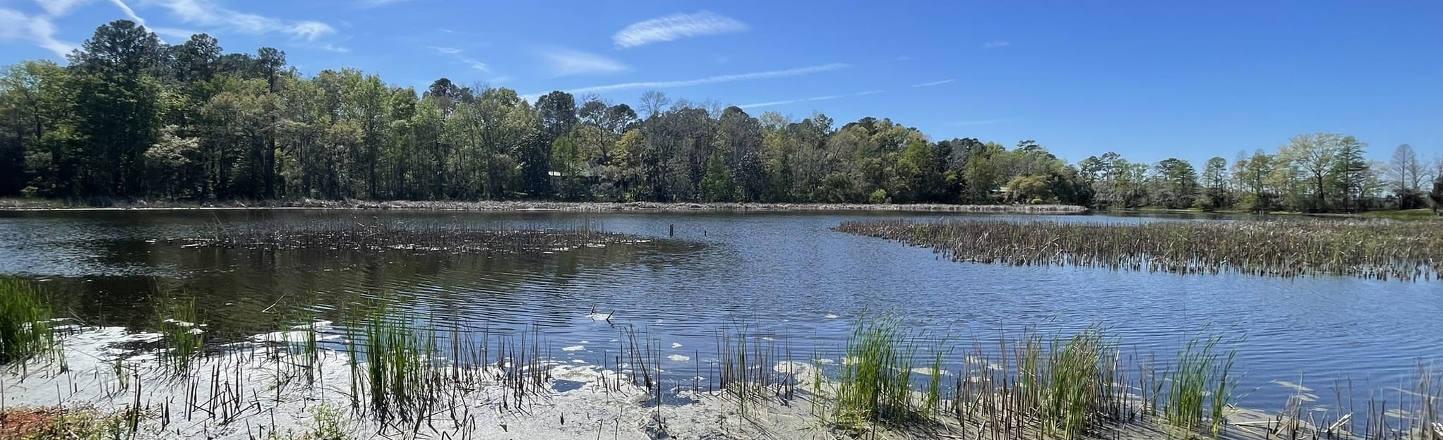 AllTrails | Magnolia Historic Garden Walk and Audubon Swamp Tour Loop ...