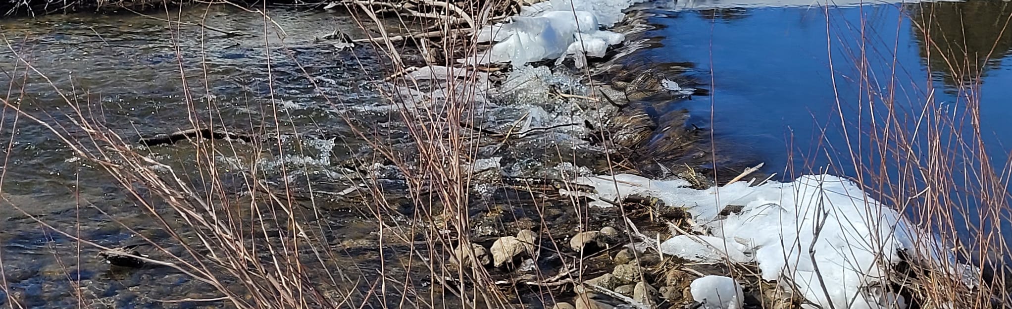 Conestoga Lake Trail: 13 Reviews, Map - Ontario, Canada | AllTrails