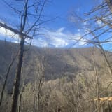 Blue Bend Loop Trail, West Virginia - 125 Reviews, Map | AllTrails
