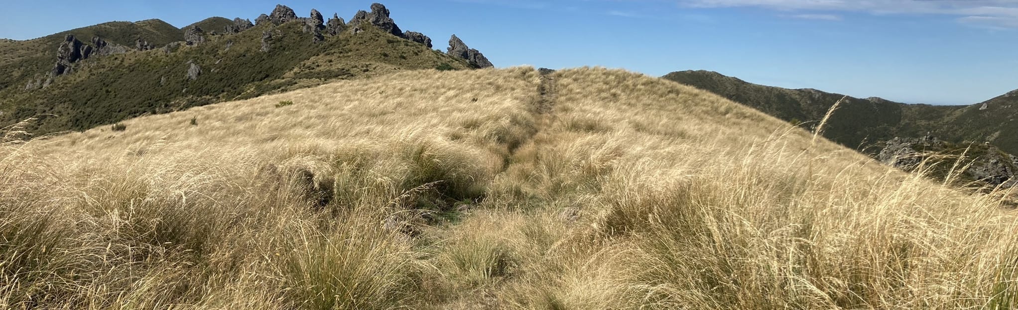 Jubilee Hut to ABC Cave, Otago, New Zealand - Map, Guide | AllTrails